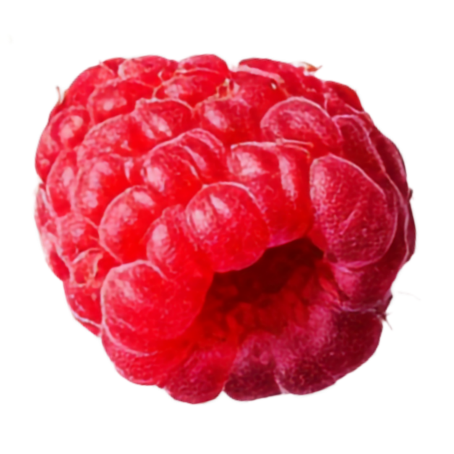 Yacca Nutra – Sip the Power of Antioxidants.