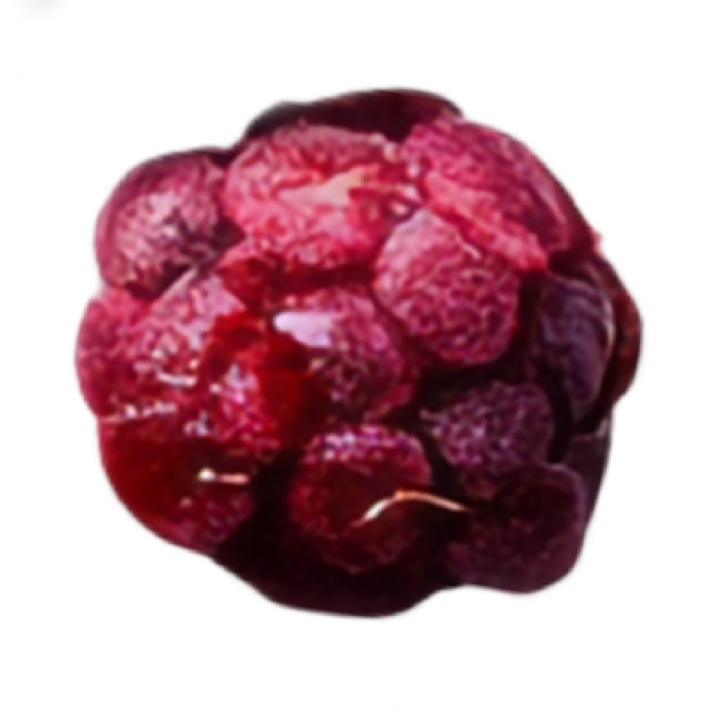 Yacca Nutra – Sip the Power of Antioxidants.