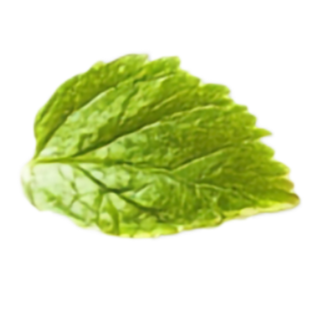 Yacca Nutra – Sip the Power of Antioxidants.